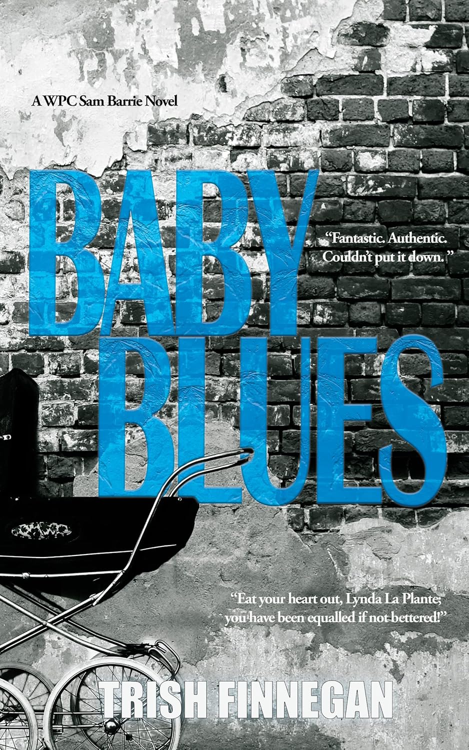 Baby Blues (The Blue Bird Series Book 3) - Kindle edition by Finnegan ...