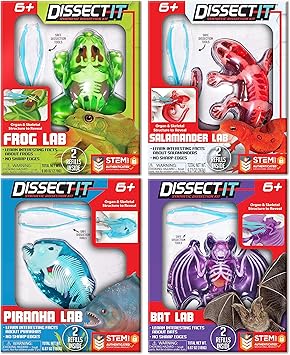 Amazon.com: Dissect-It Kit for Kids, Synthetic Dissection Kids Science ...
