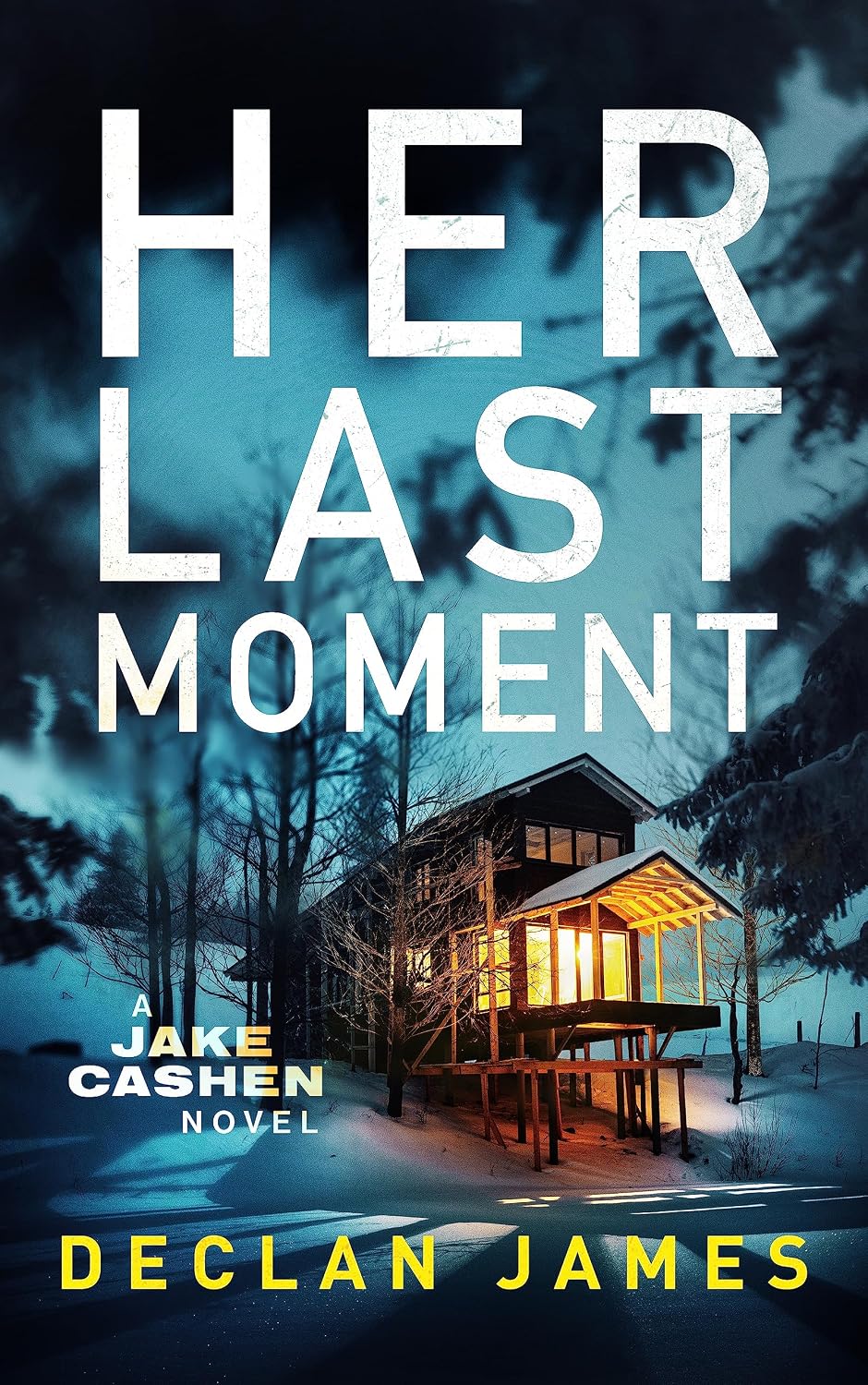 Amazon.com: Her Last Moment (Jake Cashen Crime Thriller Series Book 5 ...