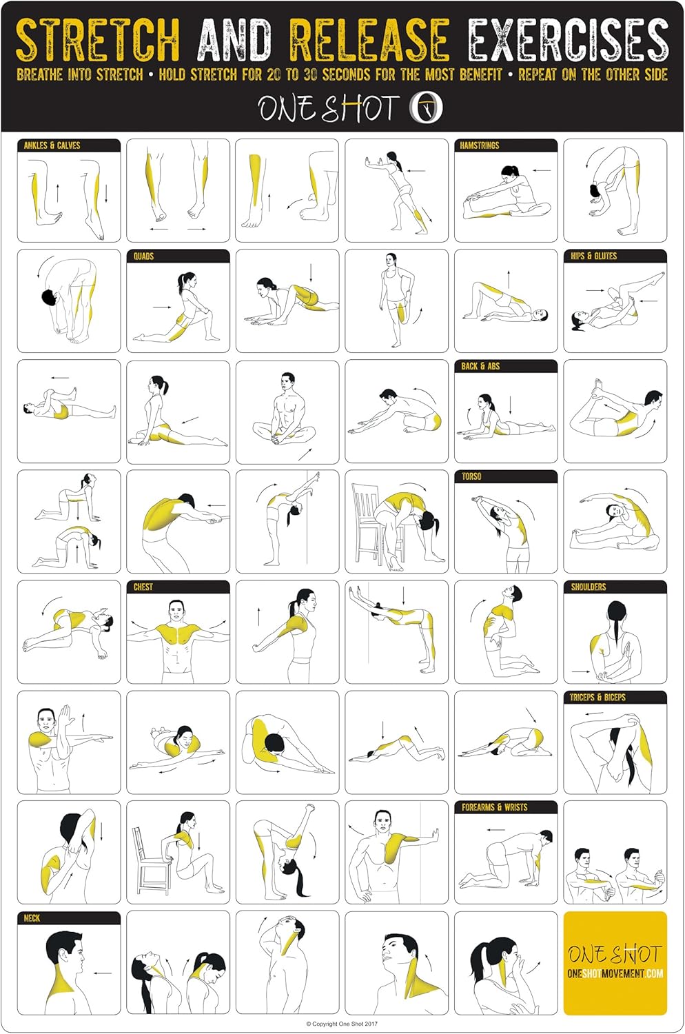 Amazon.com: One Shot Stretching Exercise Poster - Great for Home Gyms ...