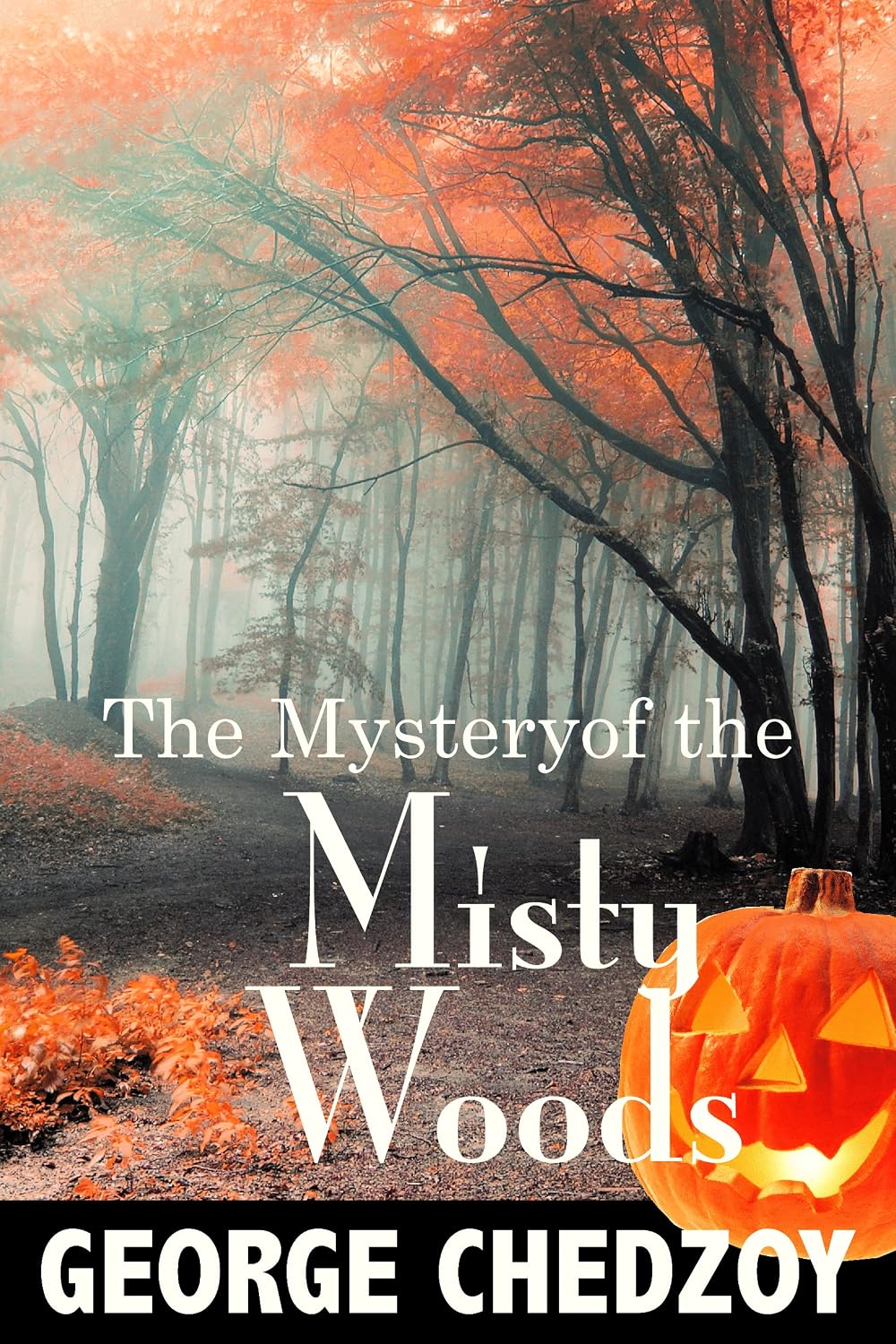 The Mystery of the Misty Woods (Cartwright Fantasy Adventures Book 1 ...