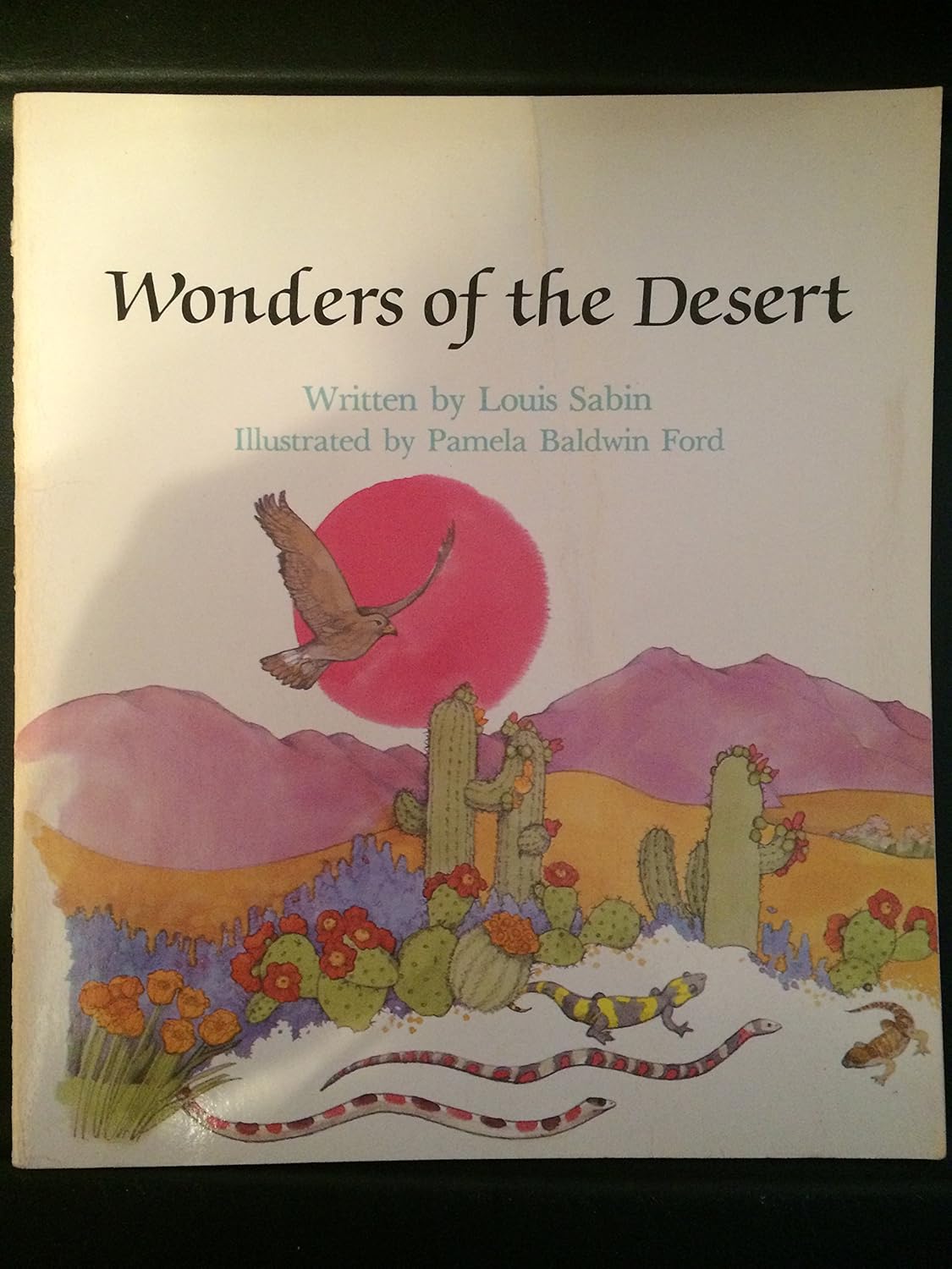 Wonders of the Desert: Louis Sabin, Pamela Baldwin Ford: 9780893755751 ...