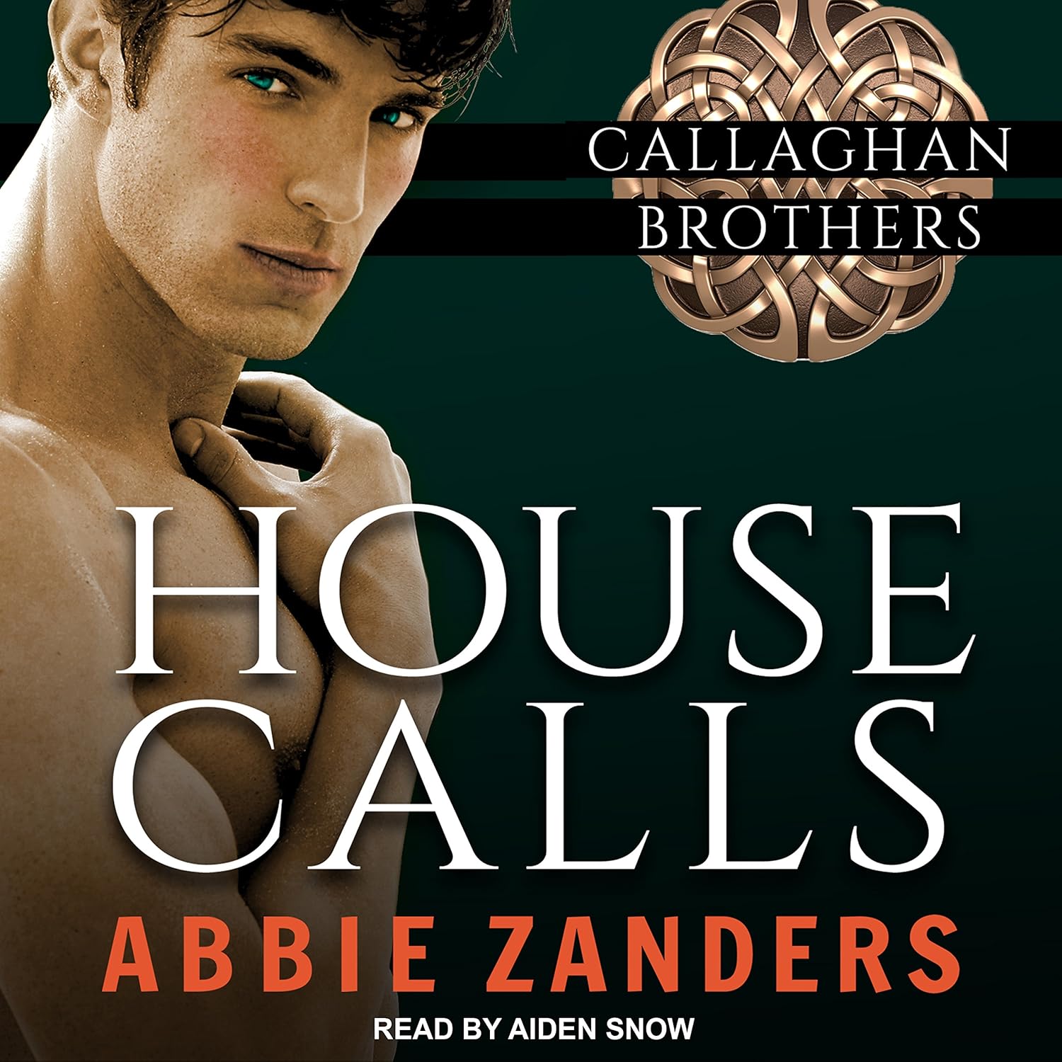 Amazon.com: House Calls: Callaghan Brothers Series, Book 3 (Audible ...