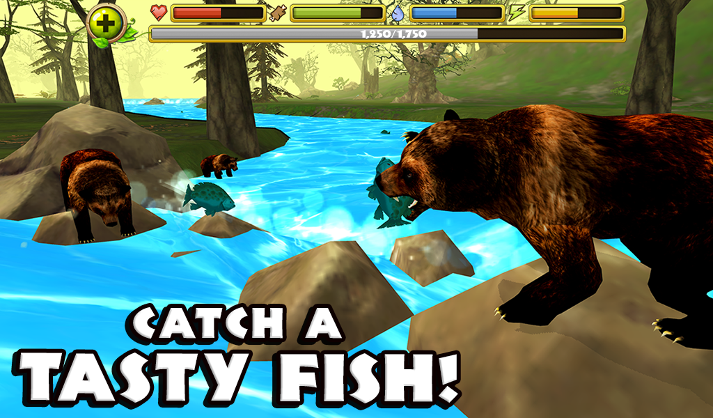 Wildlife Simulator: Bear - App on the Amazon Appstore