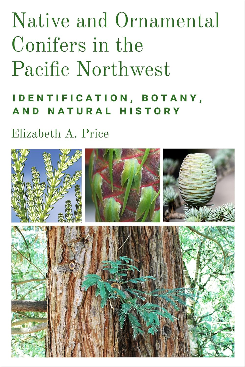 Native and Ornamental Conifers in the Pacific Northwest: Identification ...
