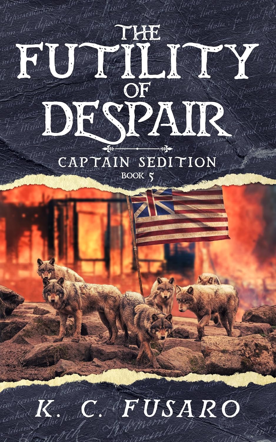 Amazon.com: The Futility of Despair, Captain Sedition Revolutionary War ...