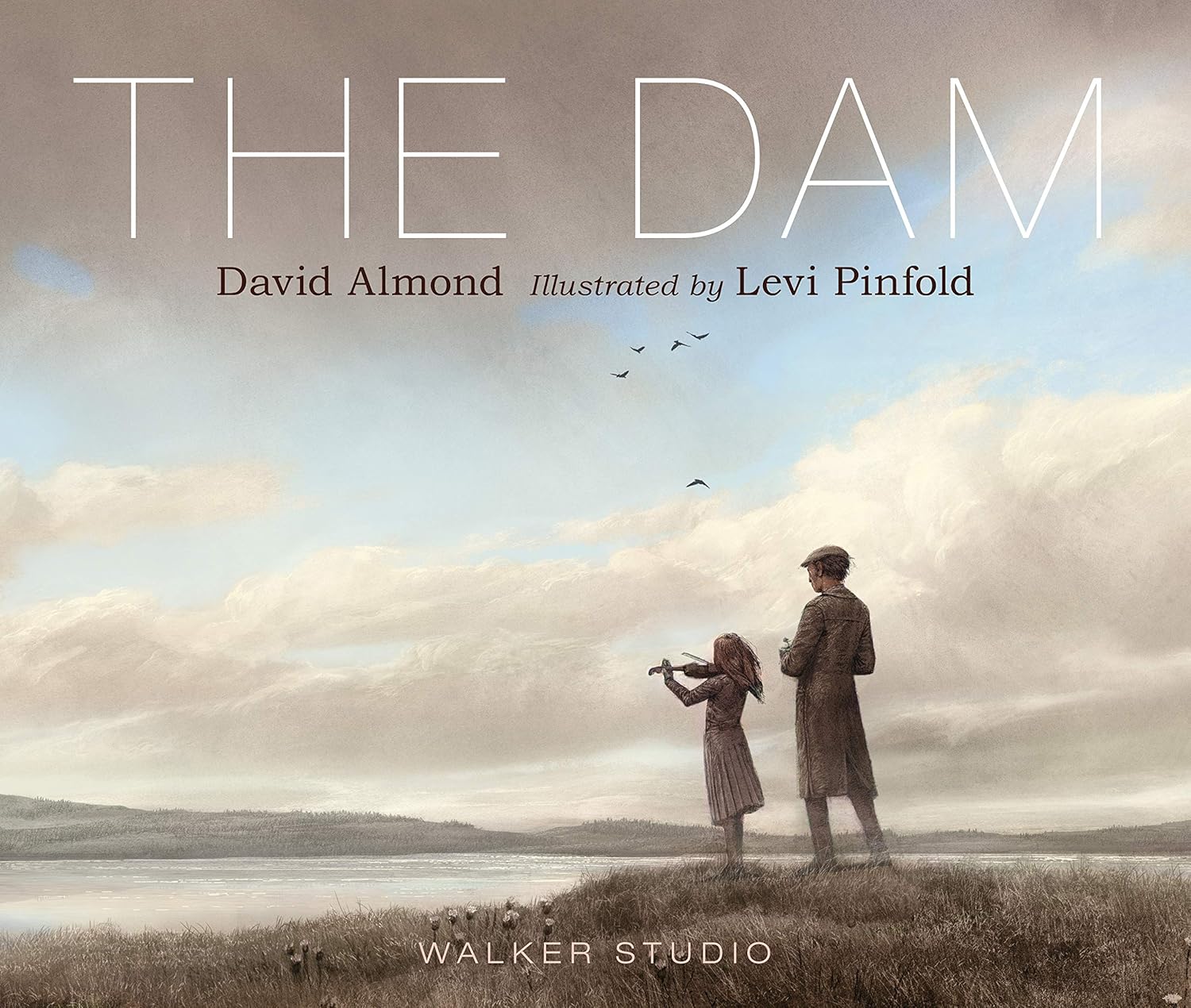 The Dam: David Almond: 9781406304879: Amazon.com: Books