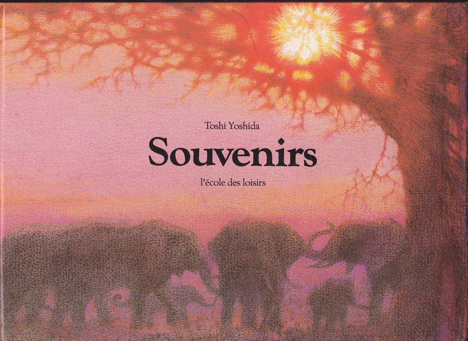 Amazon.com: souvenirs: 9782211027786: Toshi Yoshida: Books