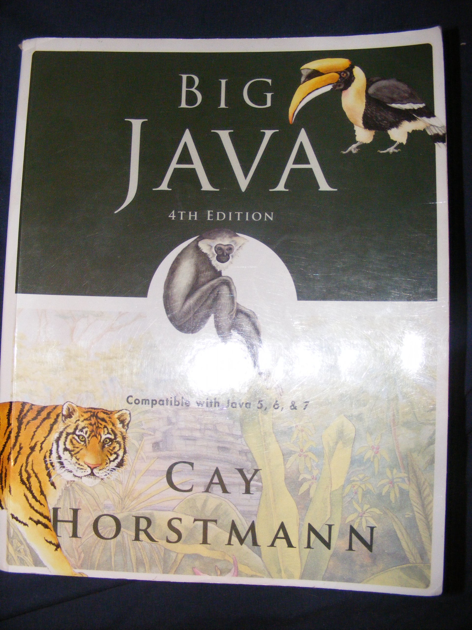 Big Java: Compatible with Java 5, 6 and 7: Horstmann, Cay S.: 9780470509487: Amazon.com: Books