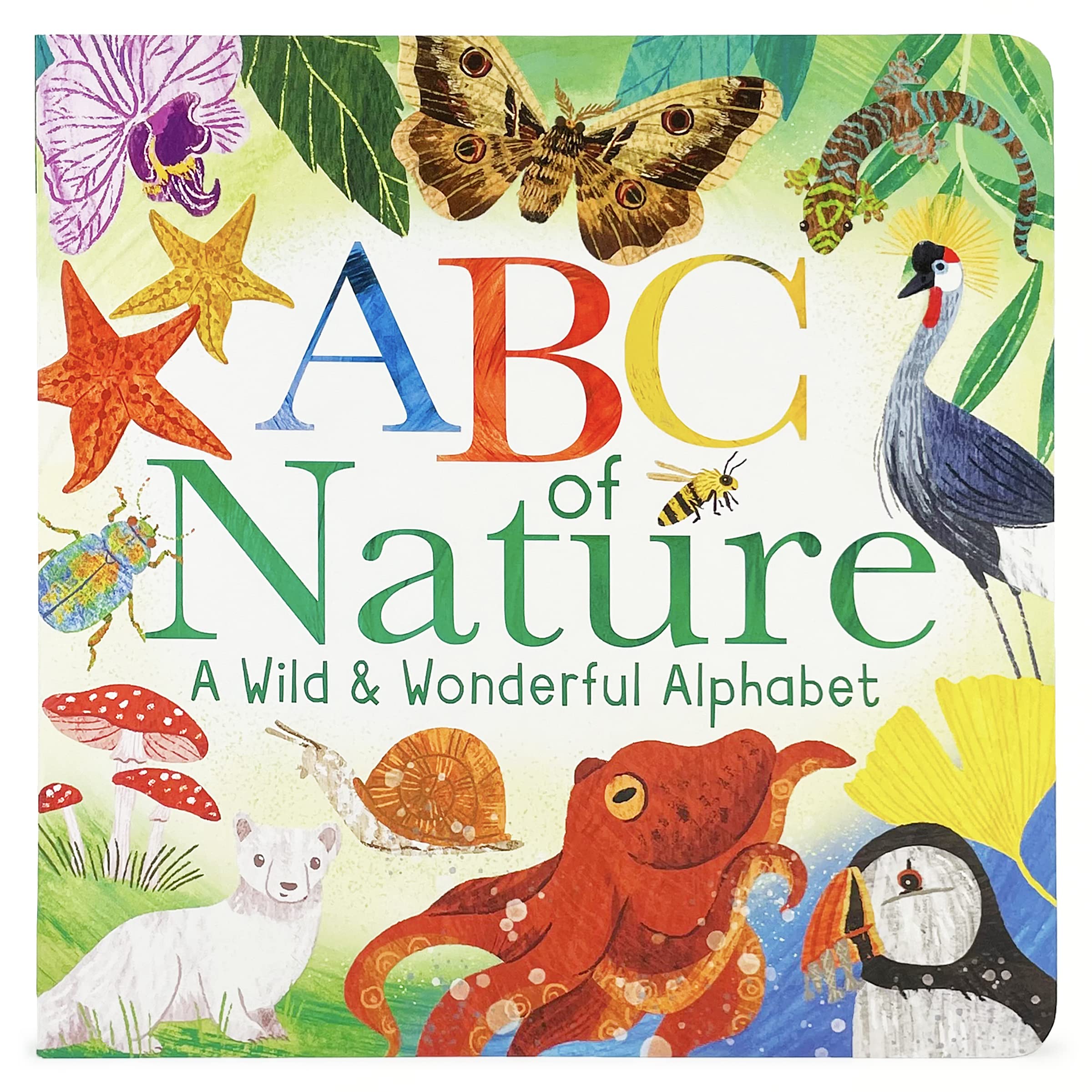 ABCs of Nature: A Wild & Wonderful Alphabet Experience - ABC Learning ...