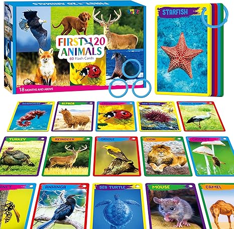 Amazon.com: My First 120 Animals, 60PCS Realistic Zoo Animal Cards Farm ...