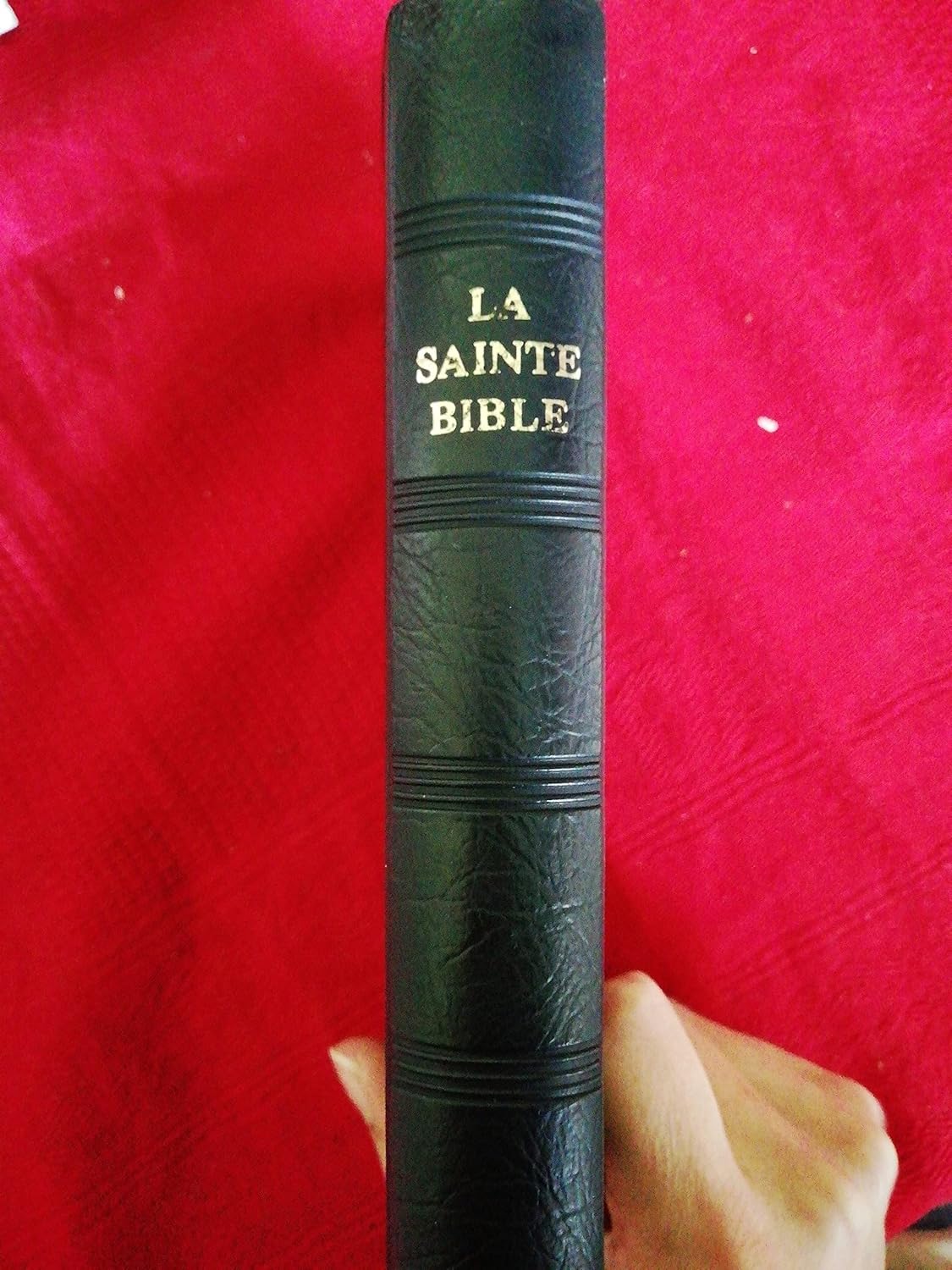 Amazon | LA Sainte Bible: Segond | Segond, Louis | Reference