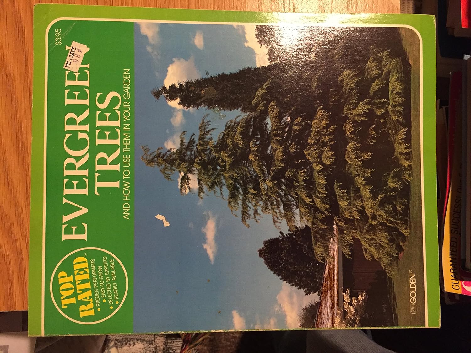 Top-rated evergreen trees and how to use them in your garden ...