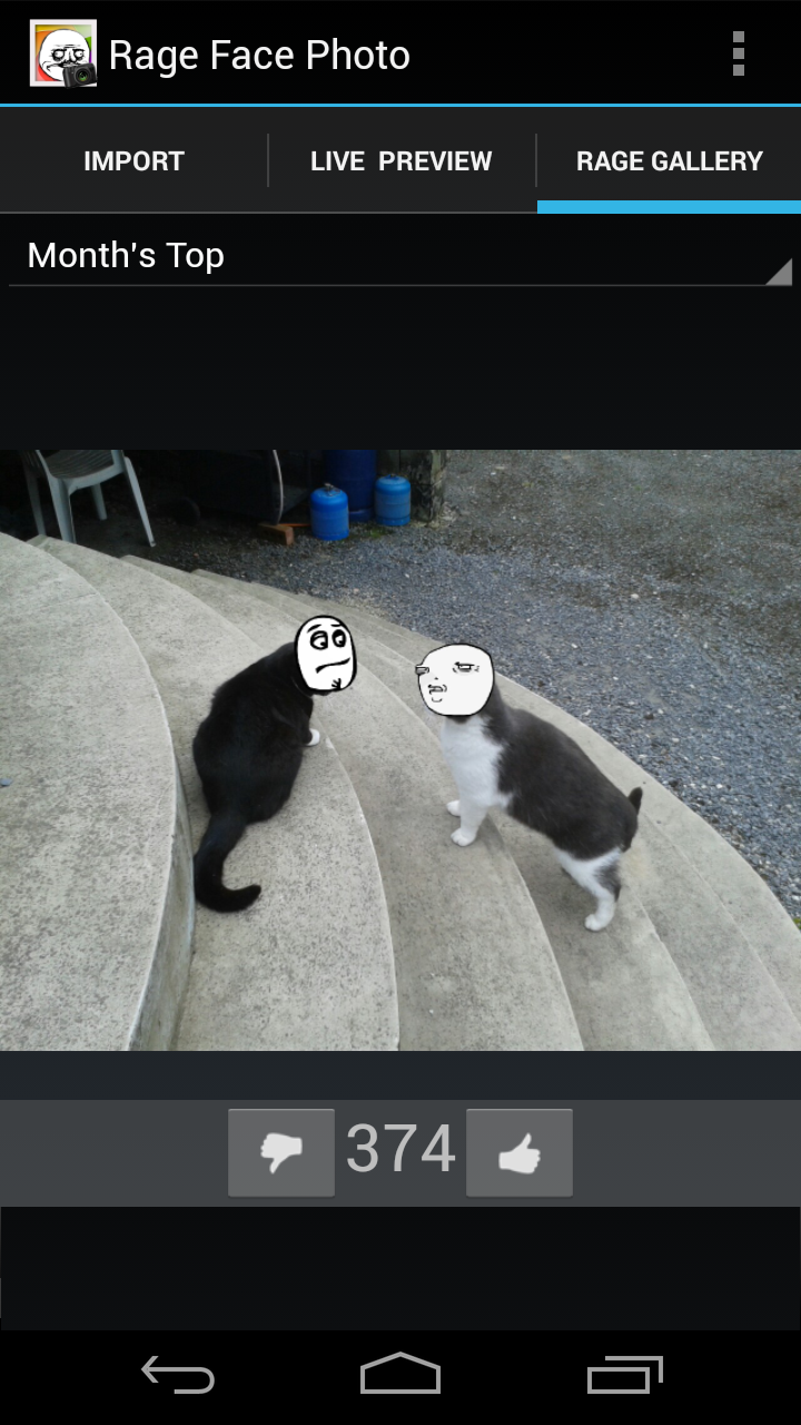 Angry Herp Derp Face