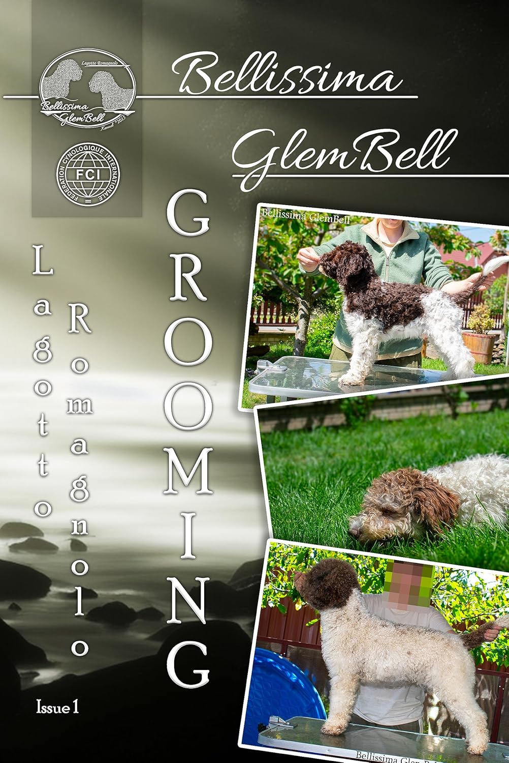Lagotto Romagnolo Grooming by Bellissima GlemBell kennel: Grooming the ...