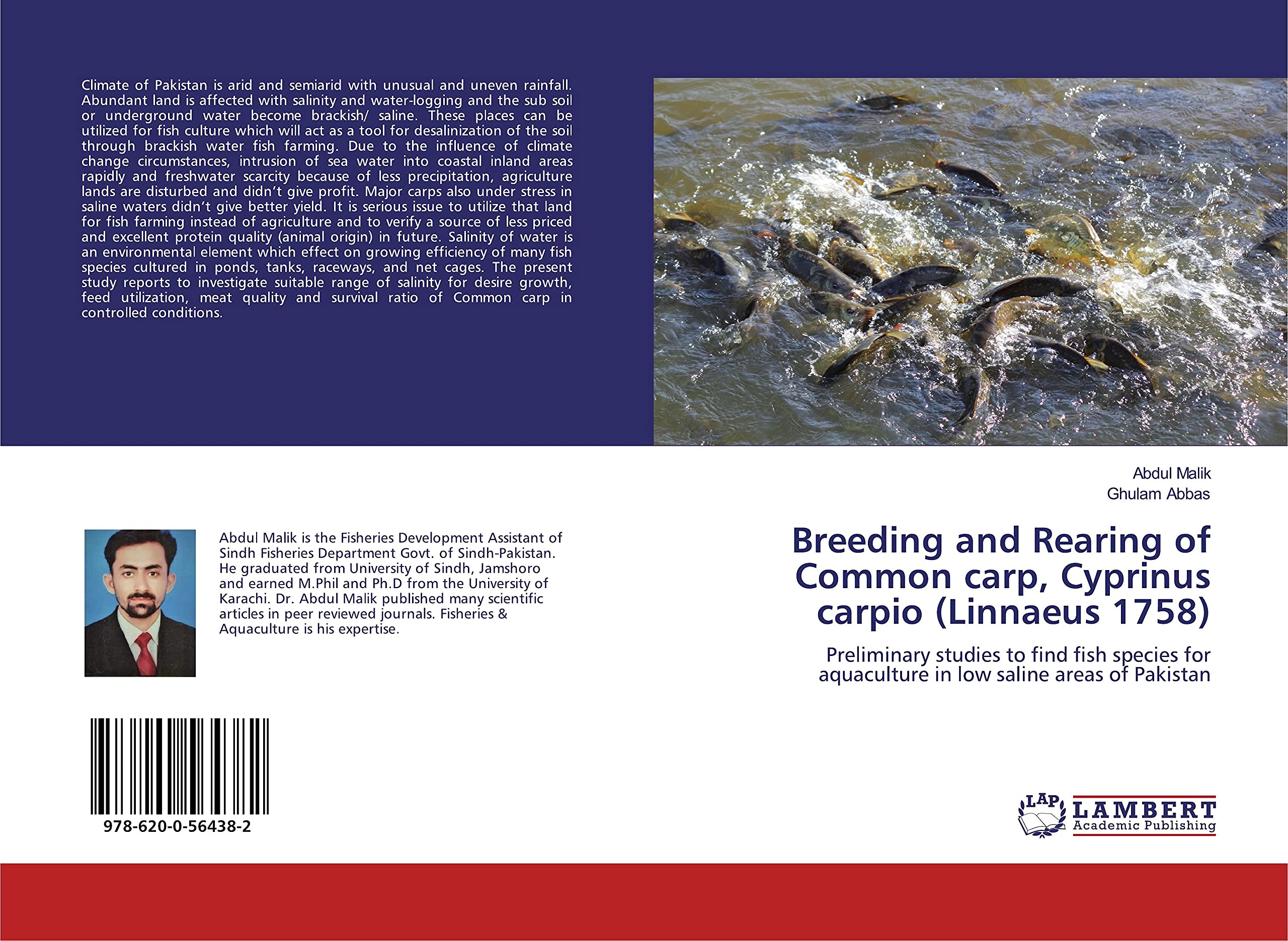 Buy Breeding and Rearing of Common carp, Cyprinus carpio (Linnaeus 1758 ...