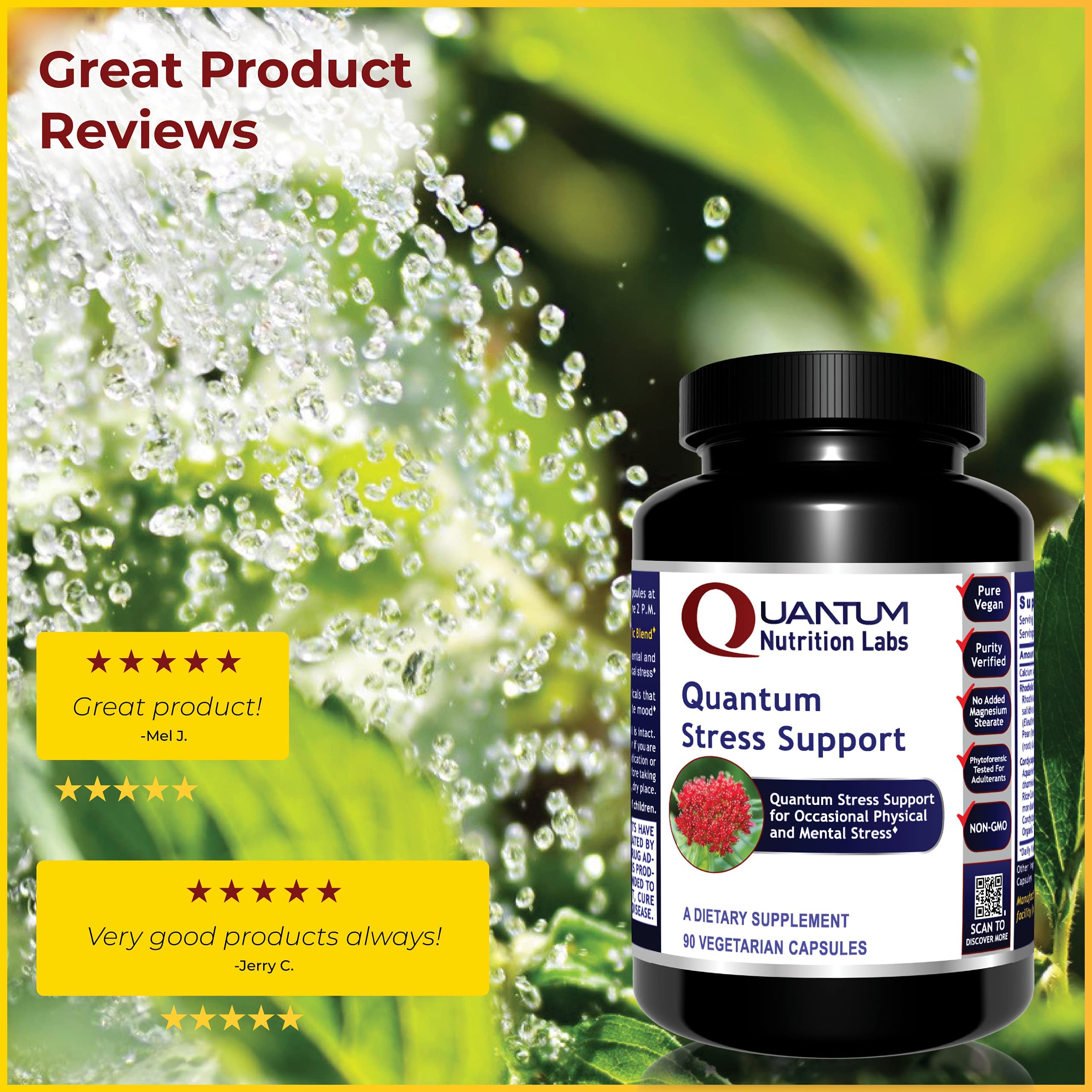 Buy Quantum Stress Support - Physical and Mental Stress Support ...