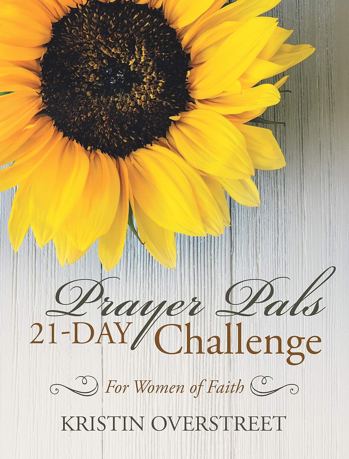 Prayer Pals 21-Day Challenge: For Women of Faith - Kindle edition by ...