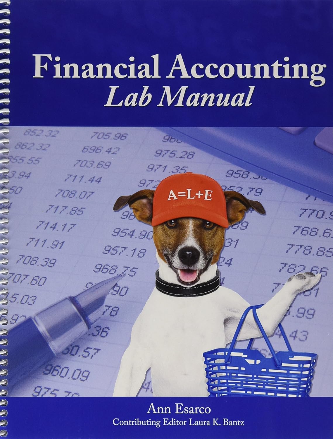 Financial Accounting Lab Manual: Ann Esarco, Ann Esarco: 9781524952365 ...
