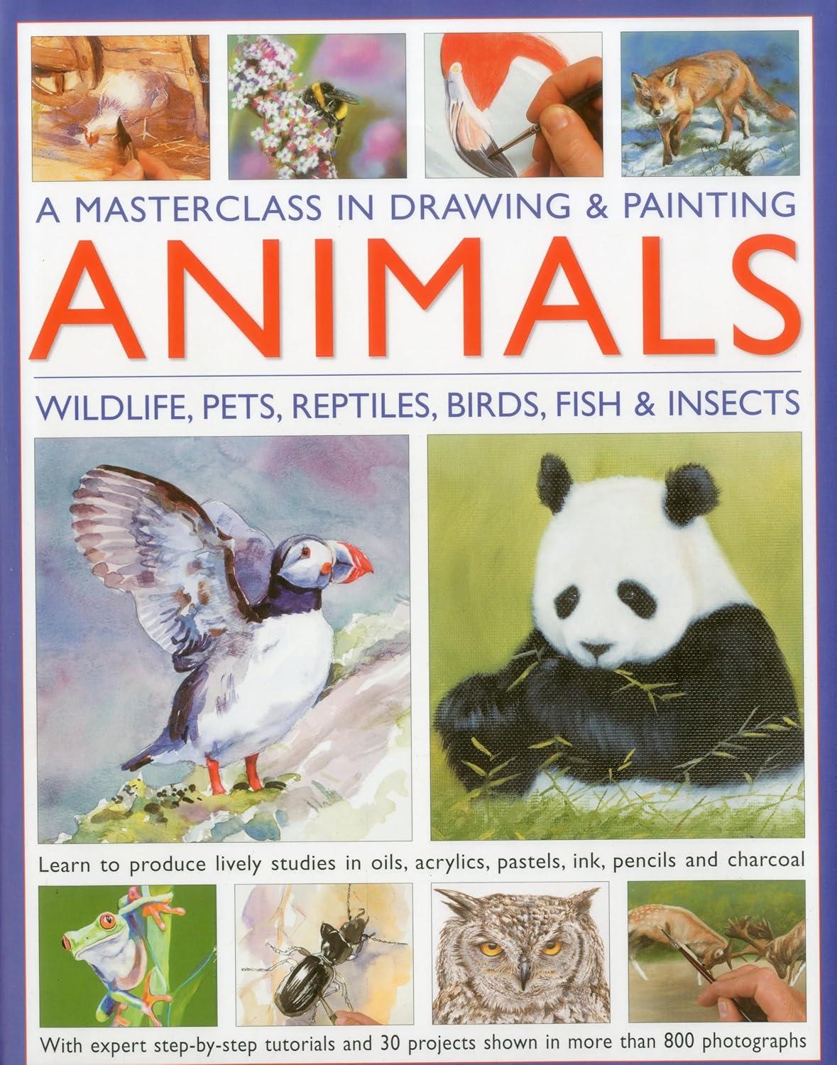 A Masterclass in Drawing and Painting Animals: Wildlife, pets, reptiles ...