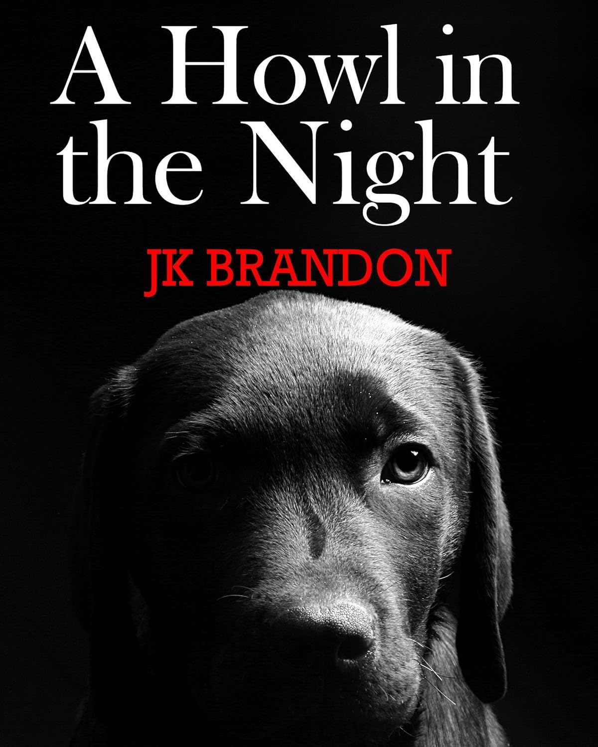 A Howl in the Night (The Howl Series Book 1) - Kindle edition by ...