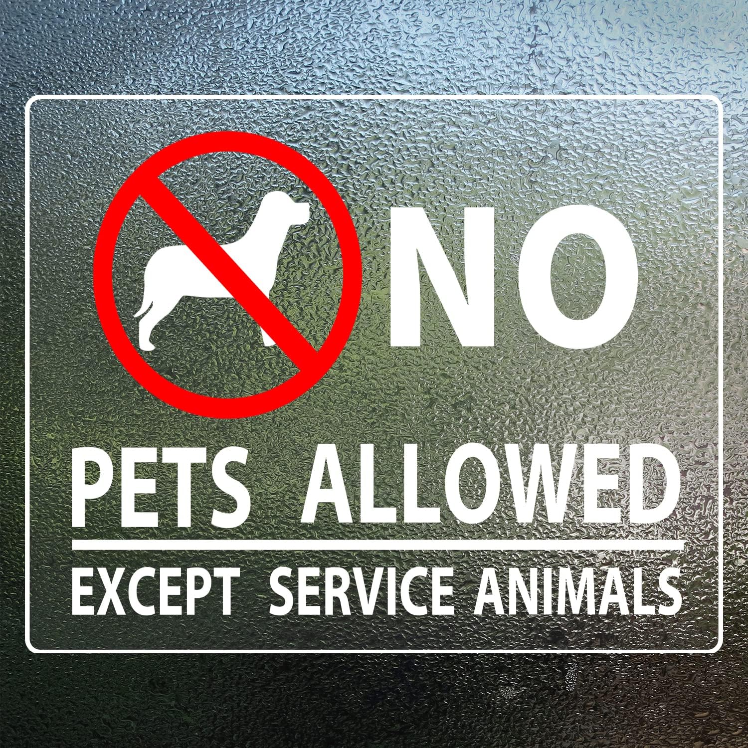 Amazon.com: No Pets Allowed Sign Sticker 10x8 Inch Vinyl Window Door ...