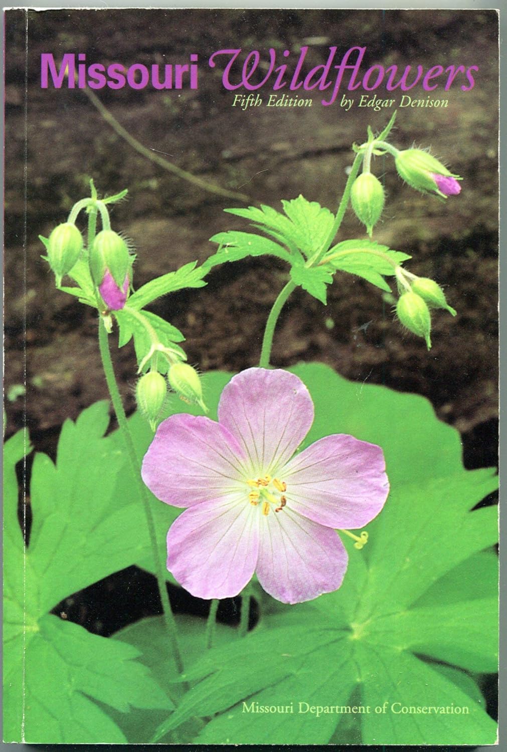Missouri Wildflowers: A Field Guide to Wildflowers of Missouri: Edgar ...