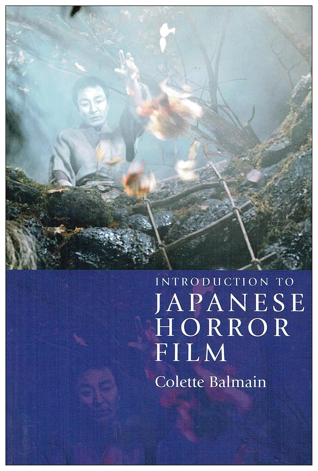Amazon.com: Introduction to Japanese Horror Film: 9780748624751 ...