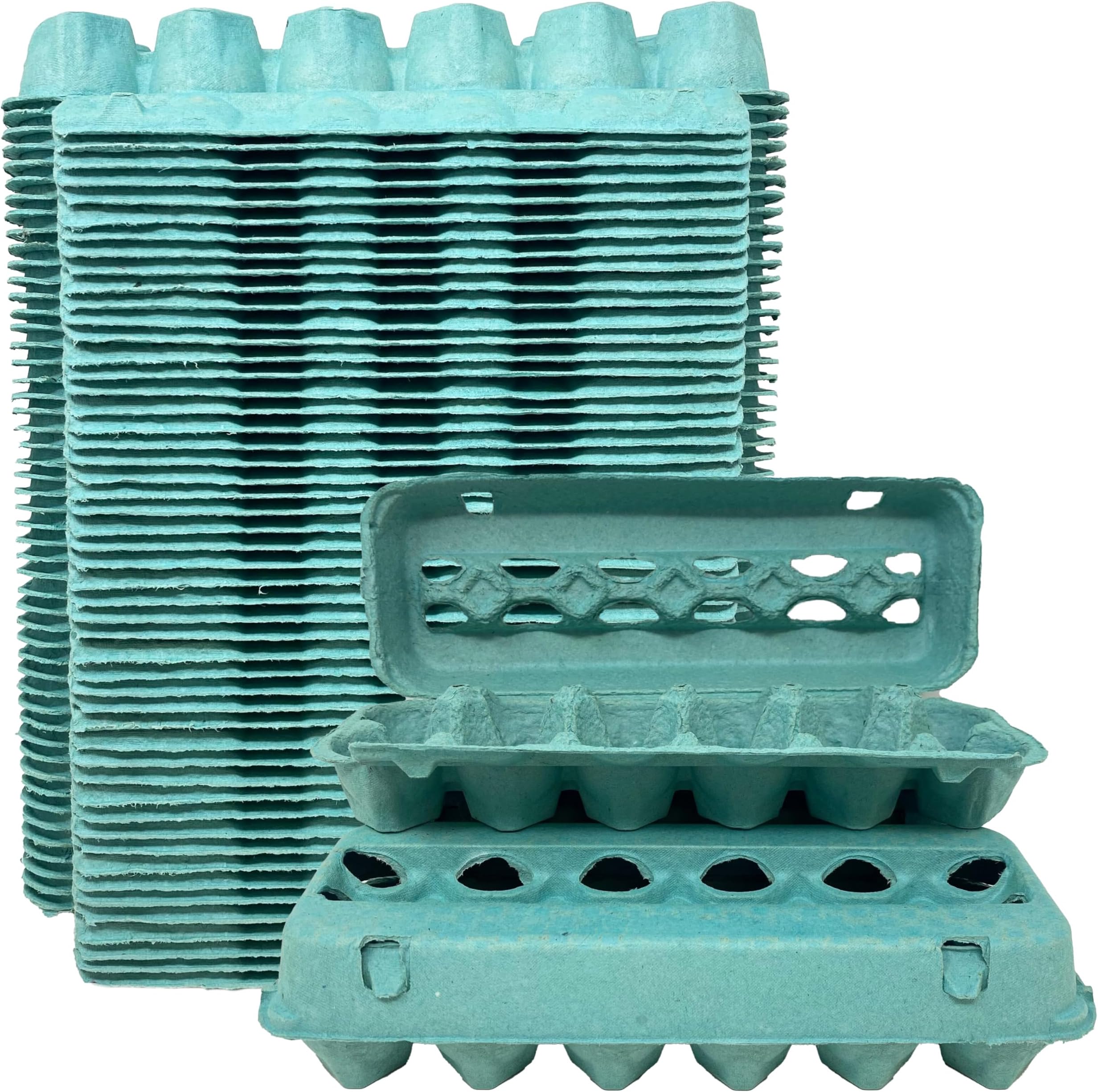 Amazon.com: 6-Egg Paper Egg Cartons - 24 Pack : Home & Kitchen