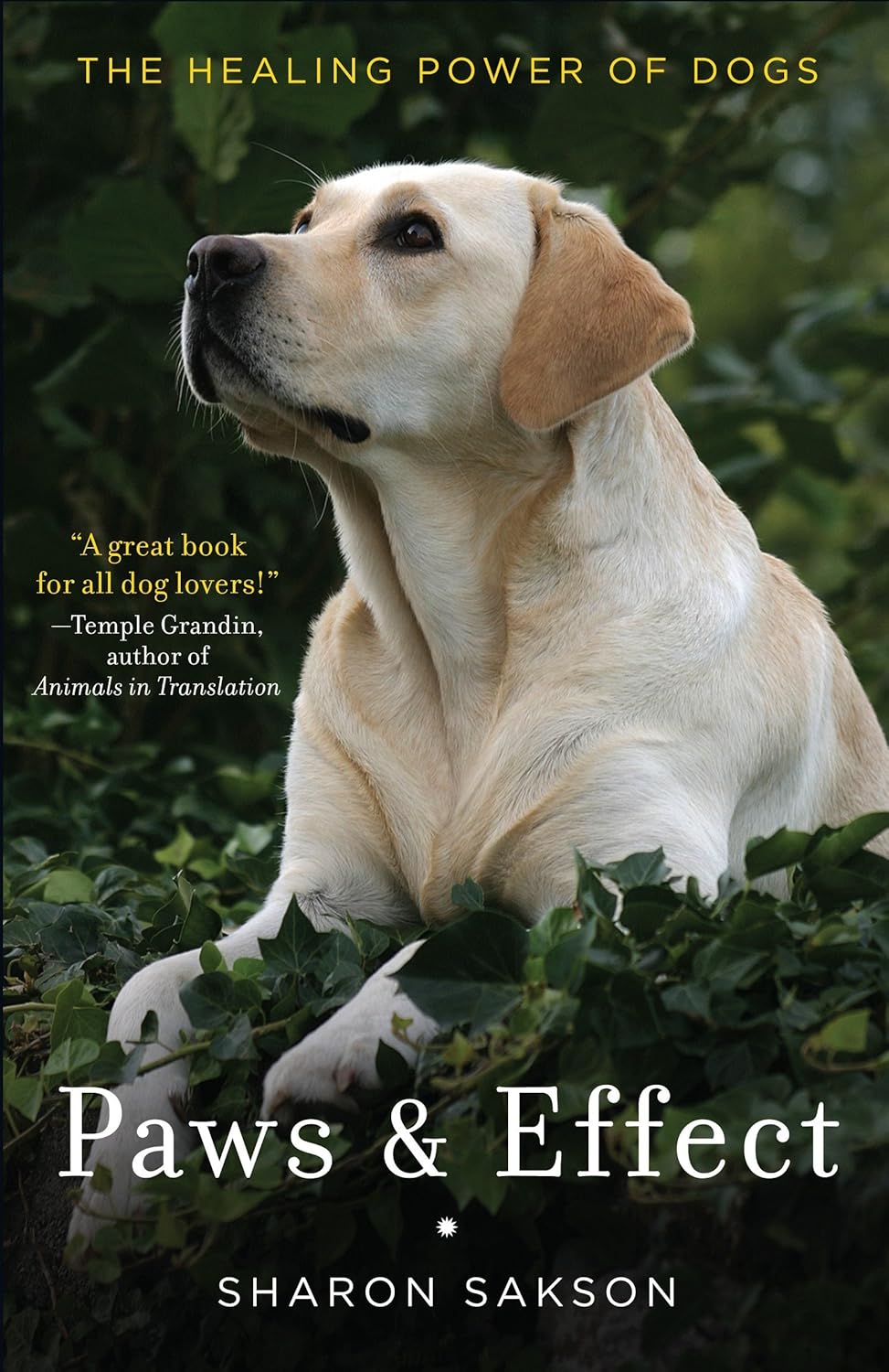 Paws & Effect: The Healing Power of Dogs: Sakson, Sharon: 9780385528566 ...