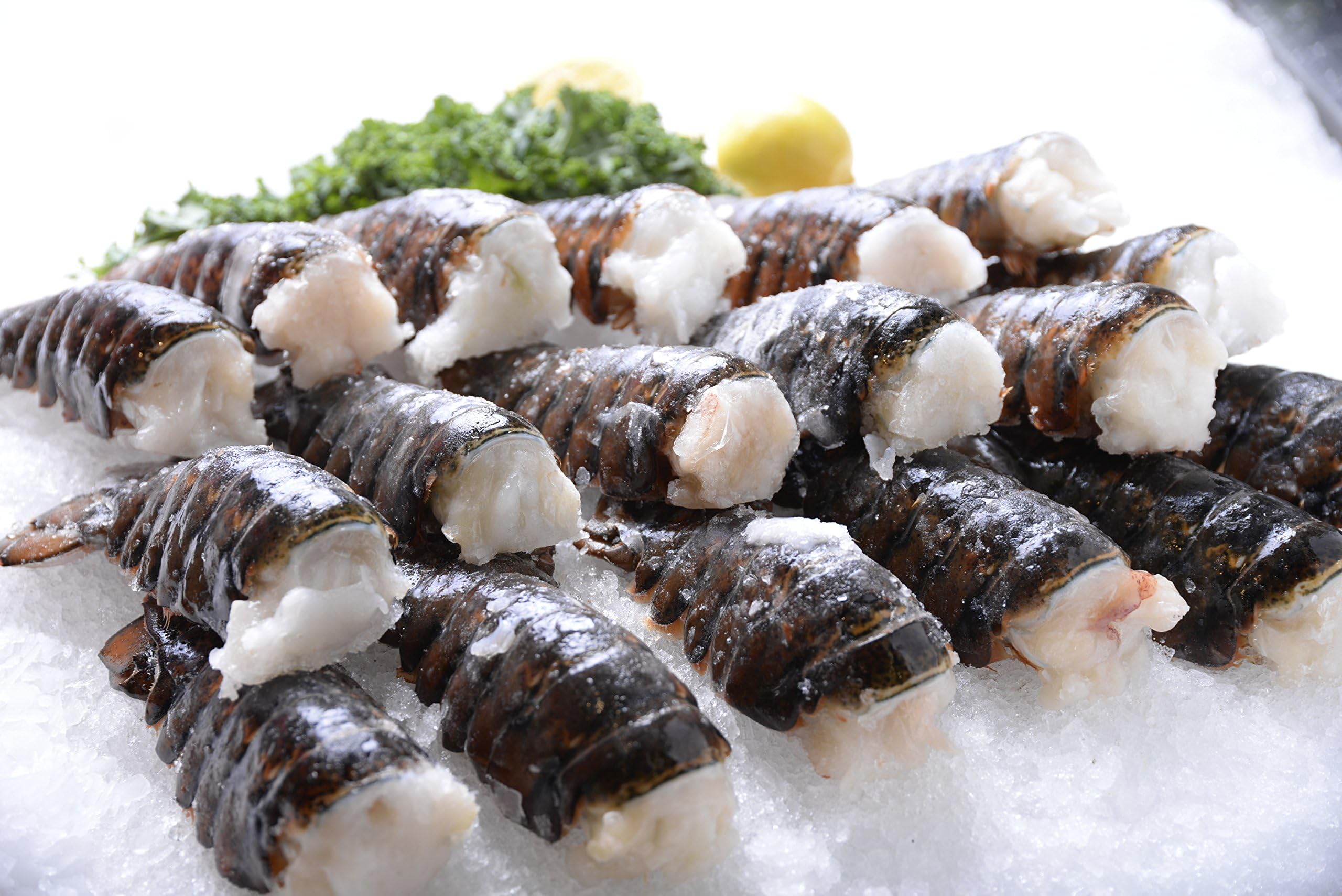 Amazon.com: Fresh Maine Lobster Tails - 5 lbs (approx. 14-16 count ...