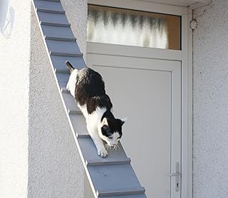 Amazon.fr : escalier pour chat
