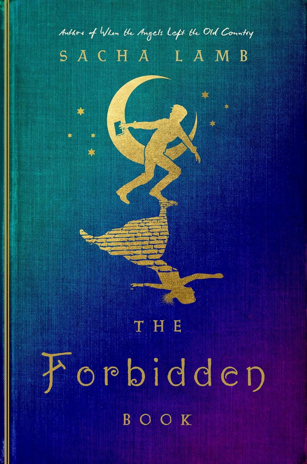 Amazon.com: The Forbidden Book: 9781646144563: Lamb, Sacha: Books