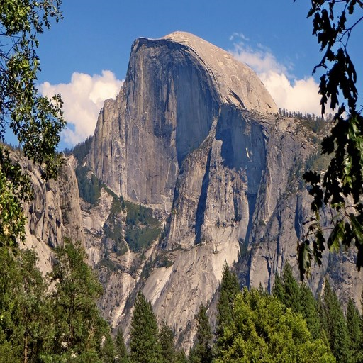 Langueta - App on Amazon Appstore