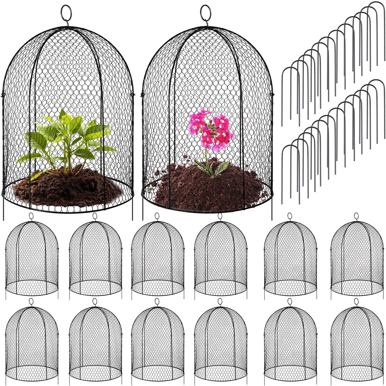 Amazon.com : Airsnigi 24Pcs Chicken Wire Plant Covers Black Metal ...
