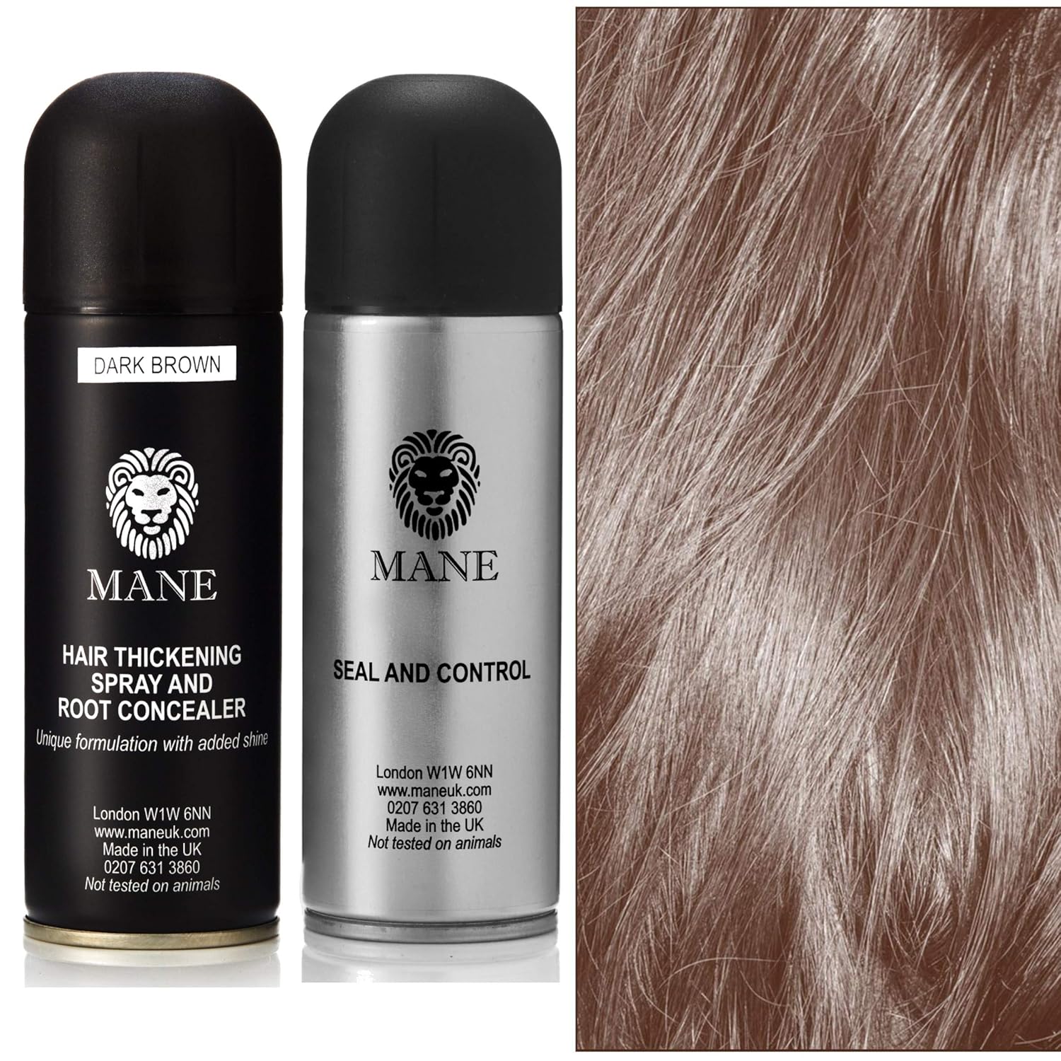 Amazon.com : MANE Hair Thickener with a Seal and Control Finishing ...