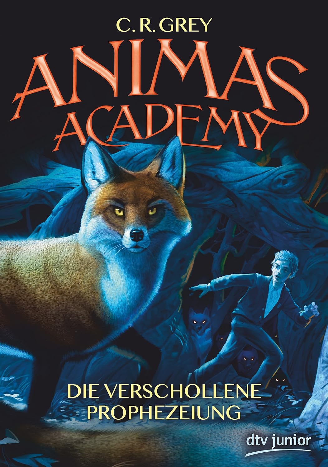 Amazon.com: Animas Academy – Die verschollene Prophezeiung ...