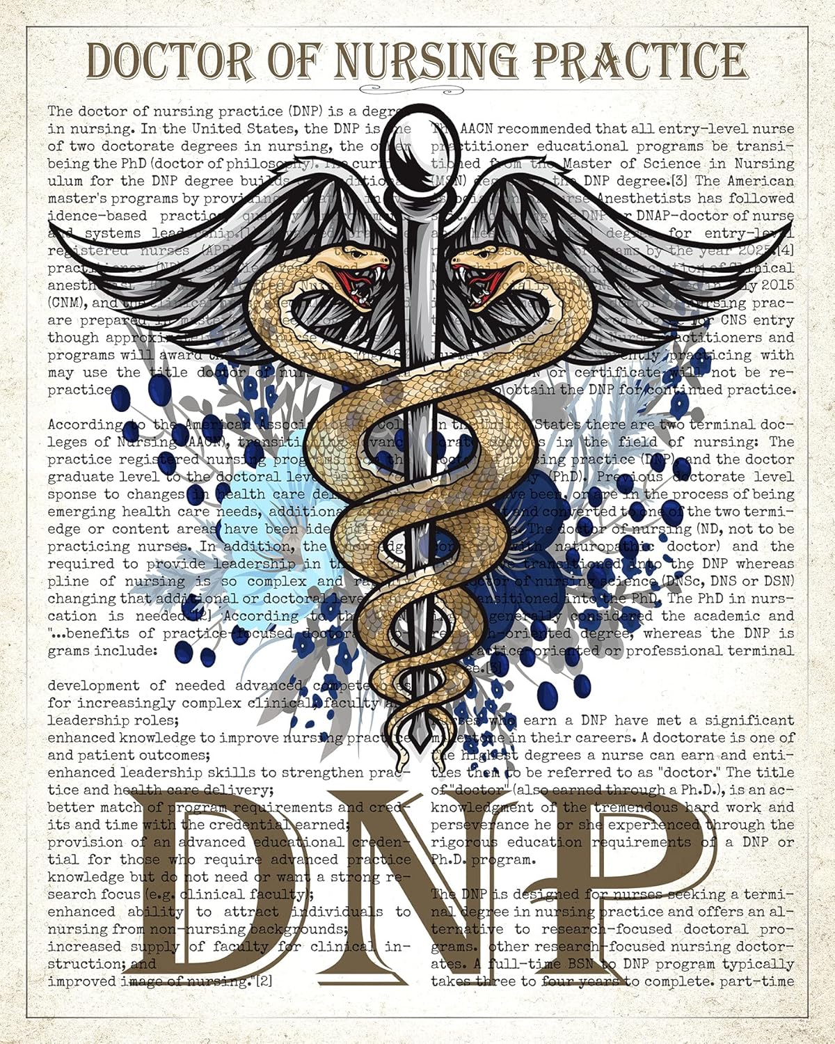 Amazon.com: DNP Gift, Doctor of Nursing Practice Print, DNP Graduation ...