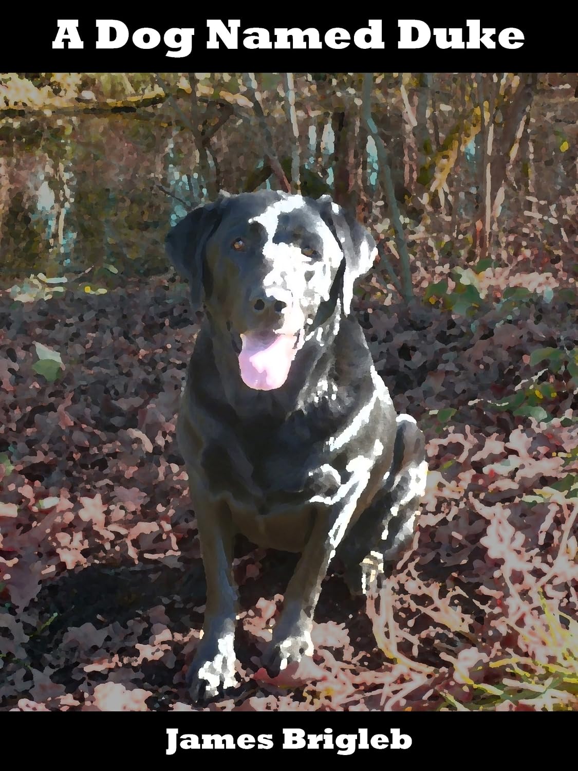 A Dog Named Duke eBook : Brigleb, James: Amazon.in: Kindle Store