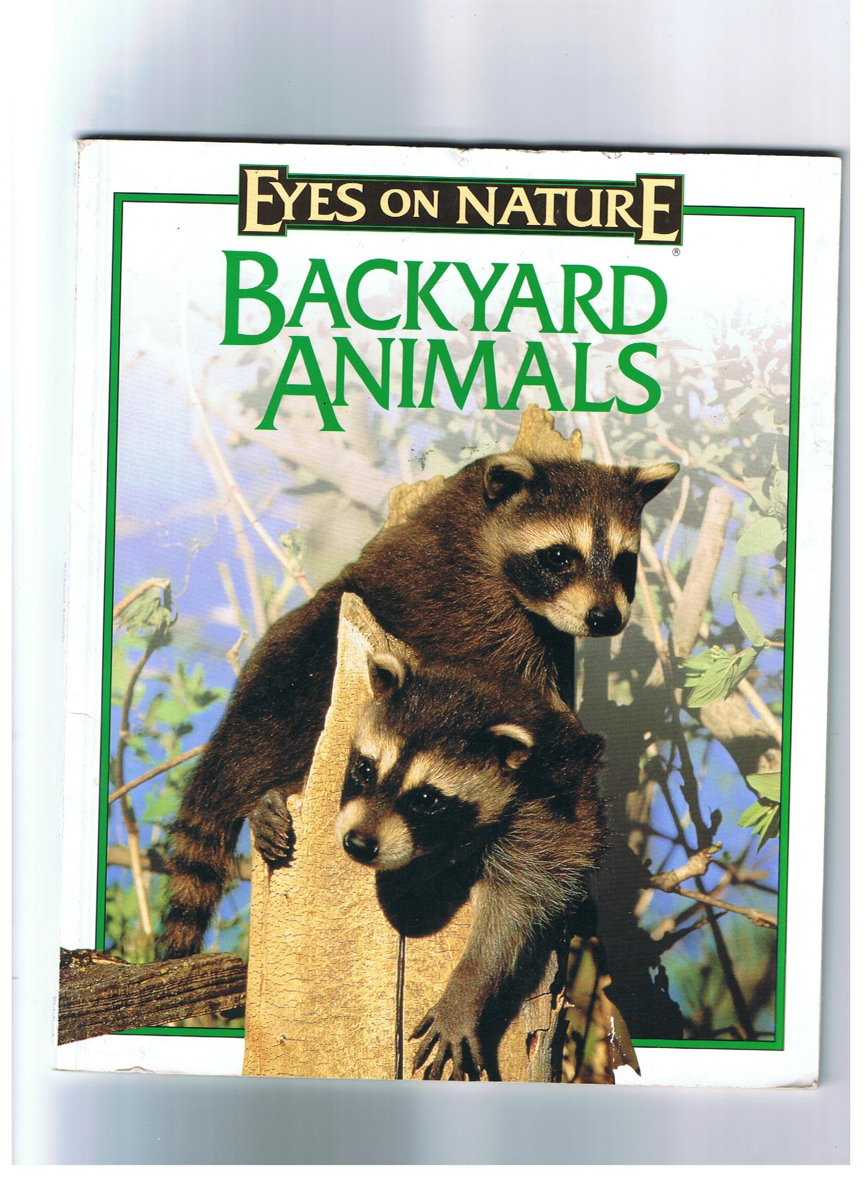 Backyard Animals (Eyes on Nature): Acker, Kerry: 9781561567829: Amazon ...