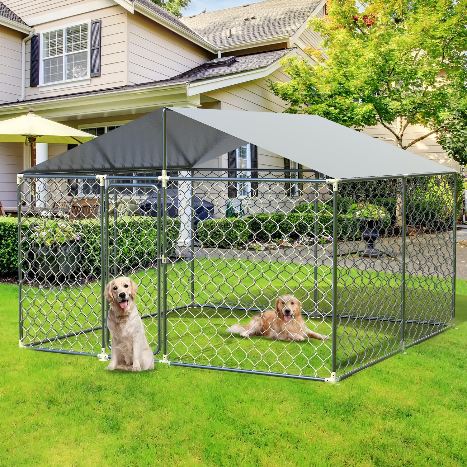 Amazon.com: 10x10 Outdoor Dog Kennel Heavy Duty Outdoor Fence Dog Run ...