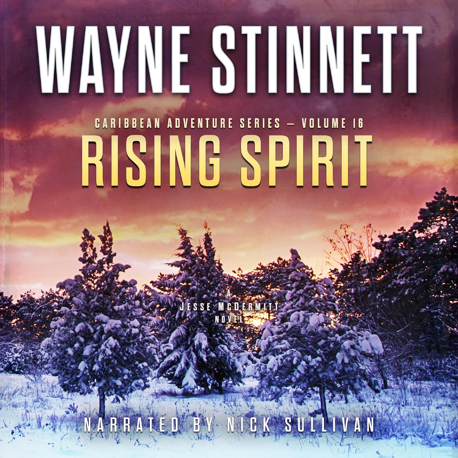 Amazon.com: Rising Spirit: A Jesse McDermitt Novel (Caribbean Adventure ...