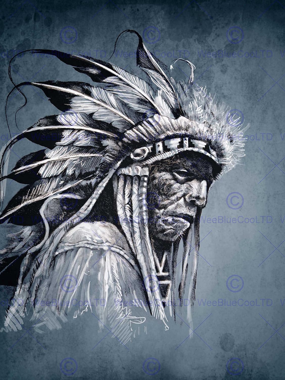 Amazon.com: Wee Blue Coo PAINTING DRAWING PORTRAIT STUDY NATIVE ...