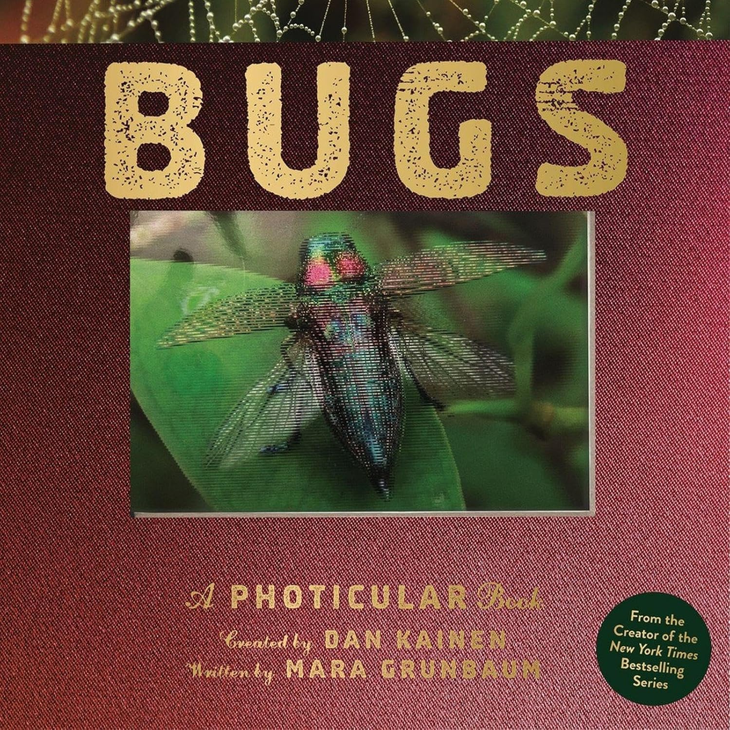 Amazon.com: Bugs: A Photicular Book: 9781523532087: Kainen, Dan ...