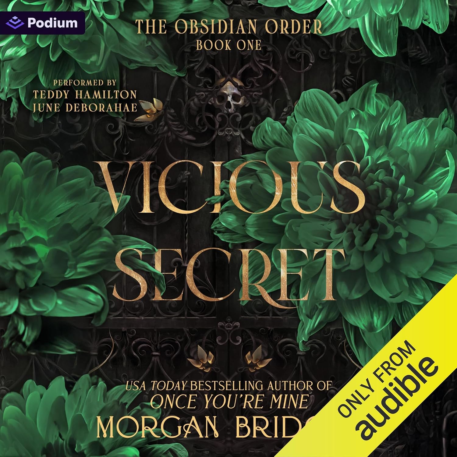Amazon.com: Vicious Secret: The Obsidian Order, Book 1 (Audible Audio ...