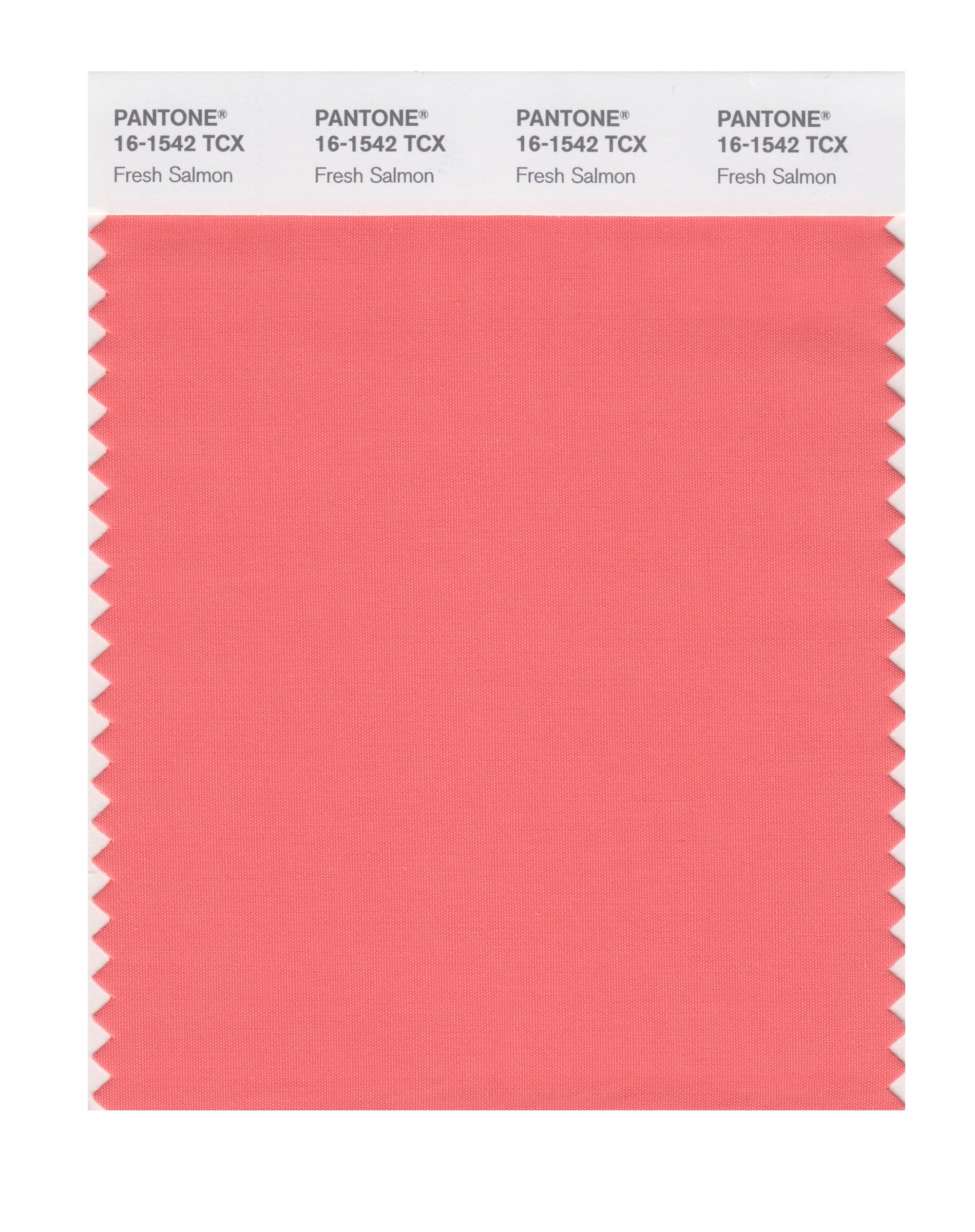 Salmon Color Swatch