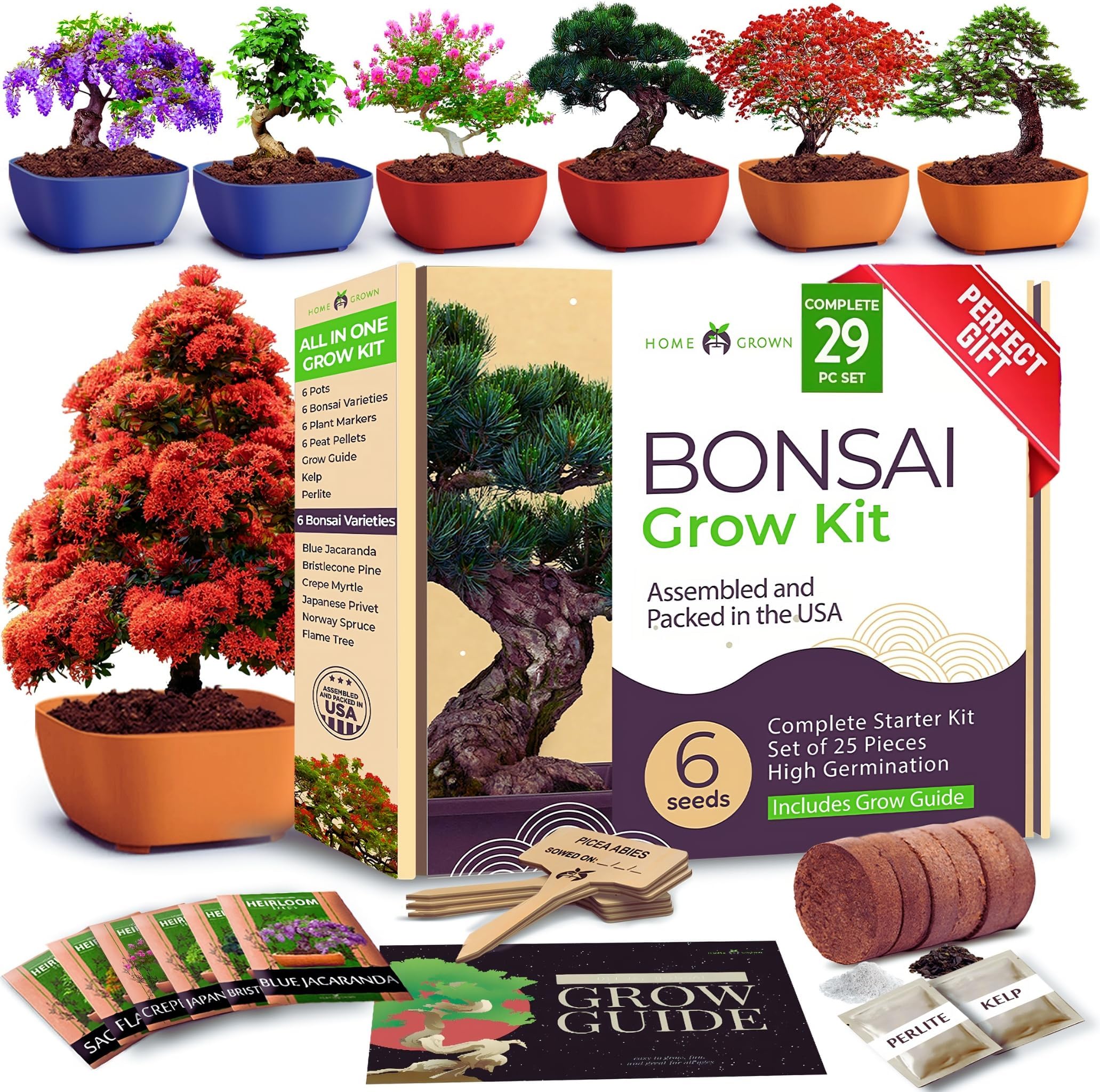 Amazon.com : REALPETALED Bonsai Starter Kit – Japanese Bonsai Tree Kit ...