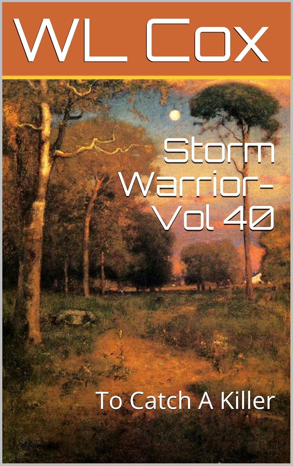 Storm Warrior-Vol 40: To Catch A Killer - Kindle edition by Cox, WL ...