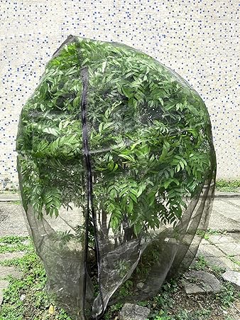 Amazon.com : Large Fruit Tree Netting 2 Pack 8x8 Ft, Bird Netting for ...