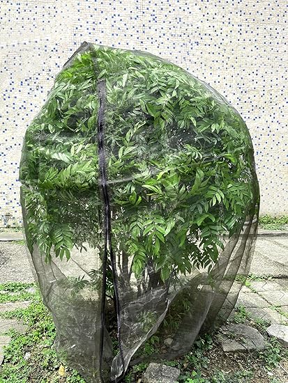 Amazon.com : Large Fruit Tree Netting 2 Pack 8x8 Ft, Bird Netting for ...